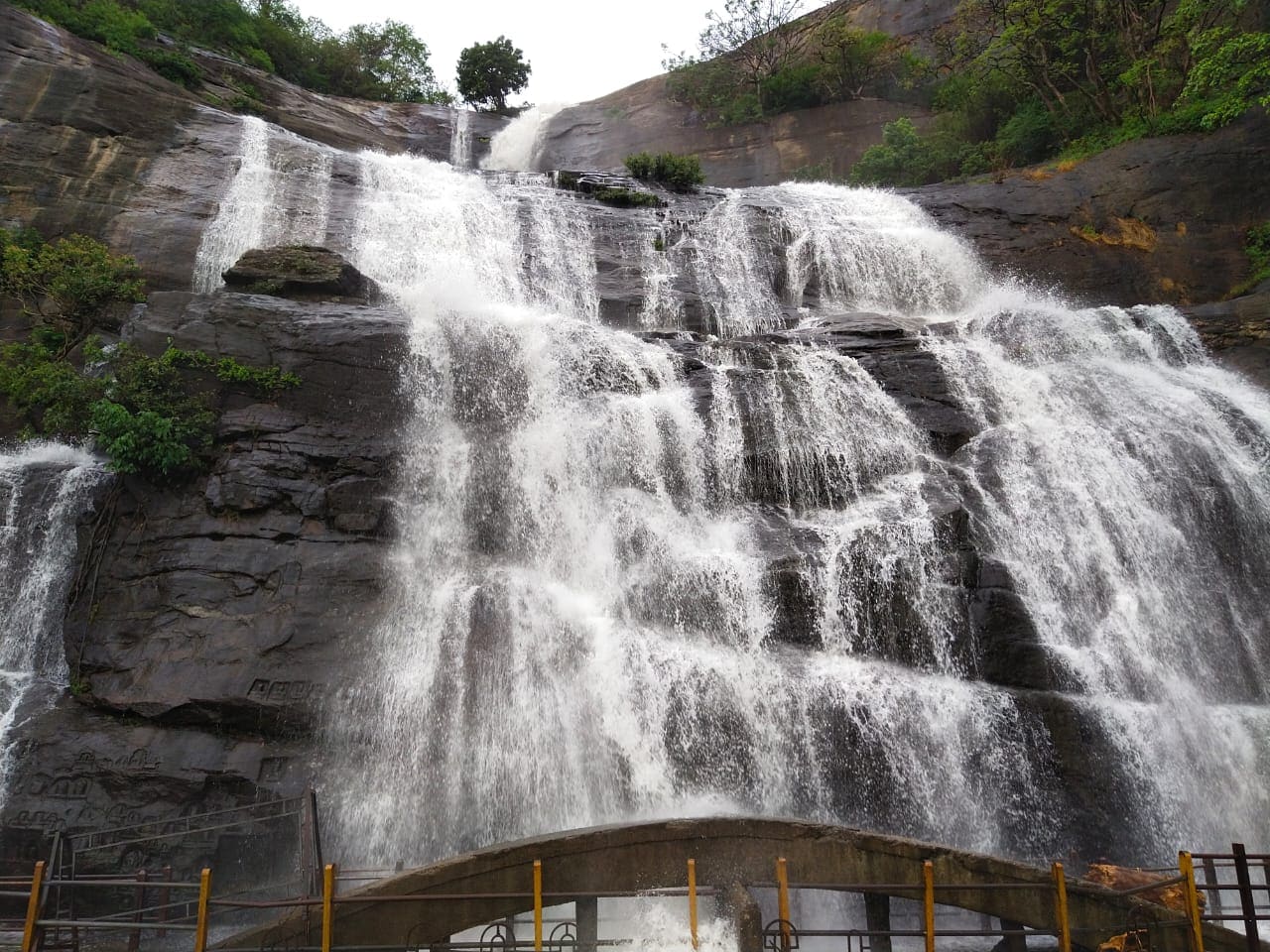 கனமழையால் குற்றால அருவிகளில் ஆர்ப்பரித்த வெள்ளப்பெருக்கு..! (படங்கள் ...