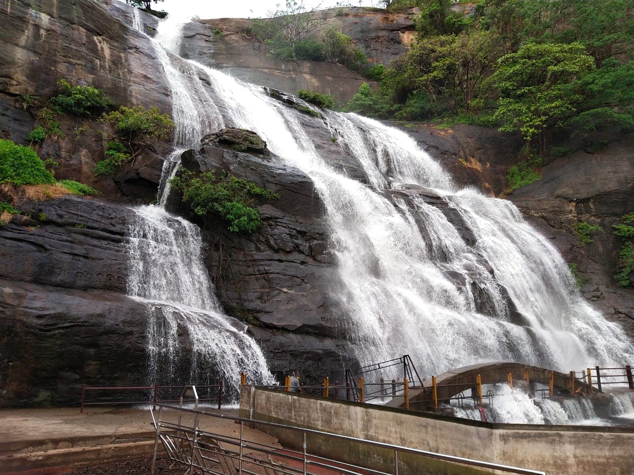 கனமழையால் குற்றால அருவிகளில் ஆர்ப்பரித்த வெள்ளப்பெருக்கு..! (படங்கள் ...