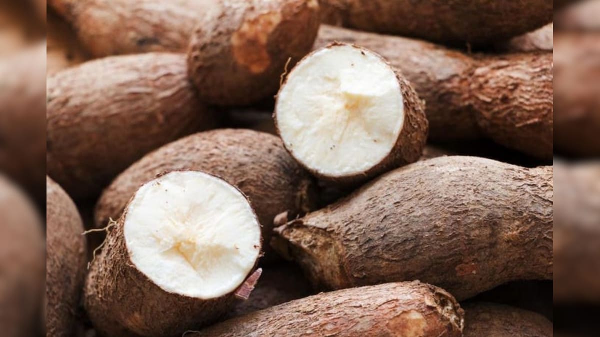 மரவள்ளிக் கிழங்கு சாப்பிட்டால் இந்த பிரச்சனையை சரி செய்யலாம்.. – News18 ...