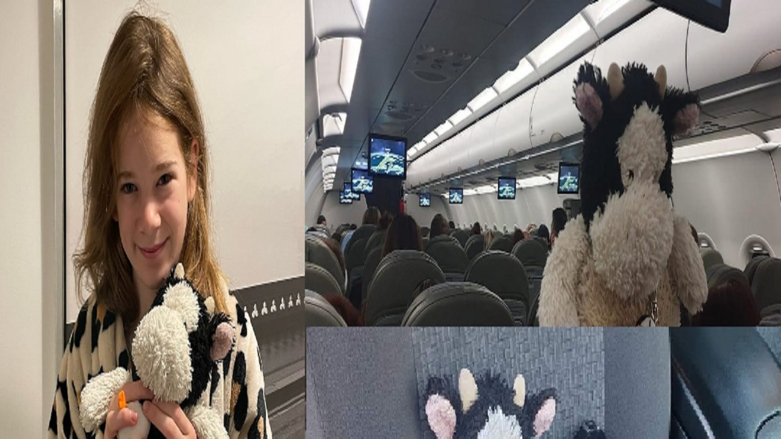 சிறுமியின் தொலைந்த பொம்மை சமூகவலைத்தளத்தால் மீண்டும் கிடைத்தது - வைரலான ...