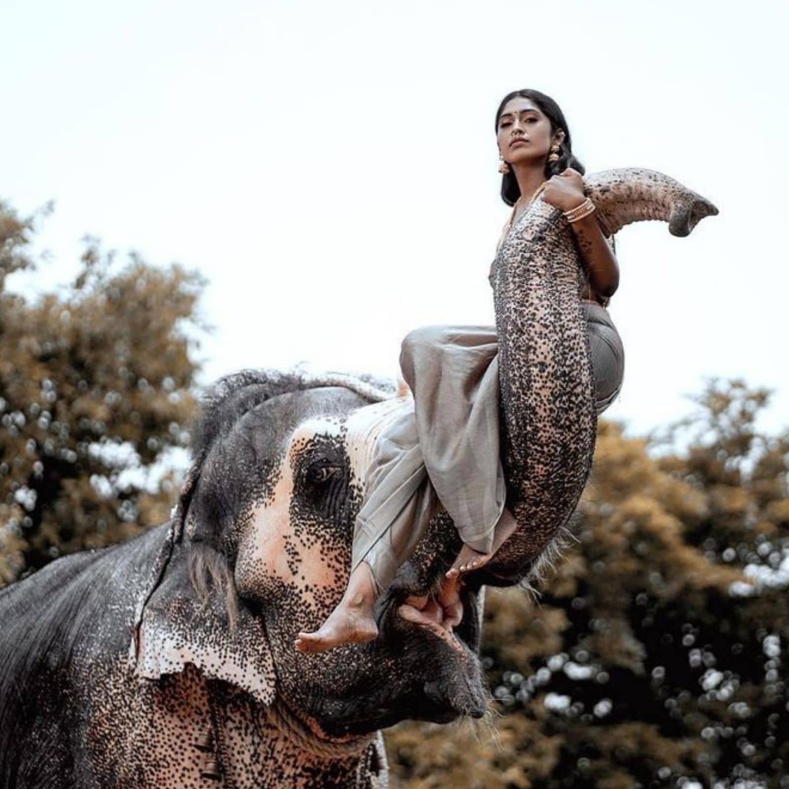 யானை மீது கம்பீரமாக அமர்ந்திருக்கும் பிக்பாஸ் சுருதி.. – News18 தமிழ்