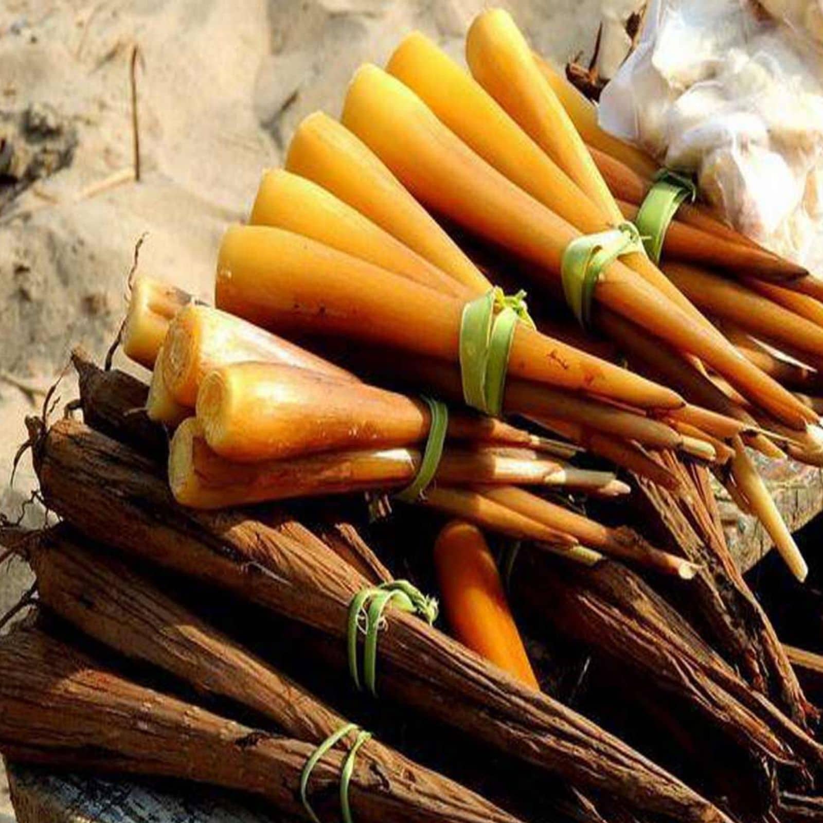 ஆண்மையை அதிகரிக்க உதவும் பனங்கிழங்கு… இதன் 8 வகை நன்மைகளையும் ...