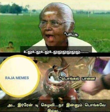 பொங்கல் வந்ததும் வந்துச்சு.. 3 வேளையும் பொங்கல் தான் – News18 தமிழ்