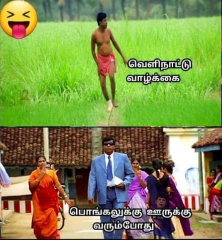 பொங்கல் வந்ததும் வந்துச்சு.. 3 வேளையும் பொங்கல் தான் – News18 தமிழ்