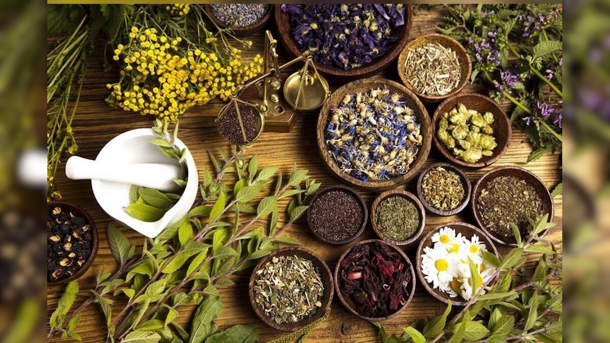 உலக யுனானி சிகிச்சை முறை நாள் : வரலாறு, முக்கியத்துவம் – News18 தமிழ்