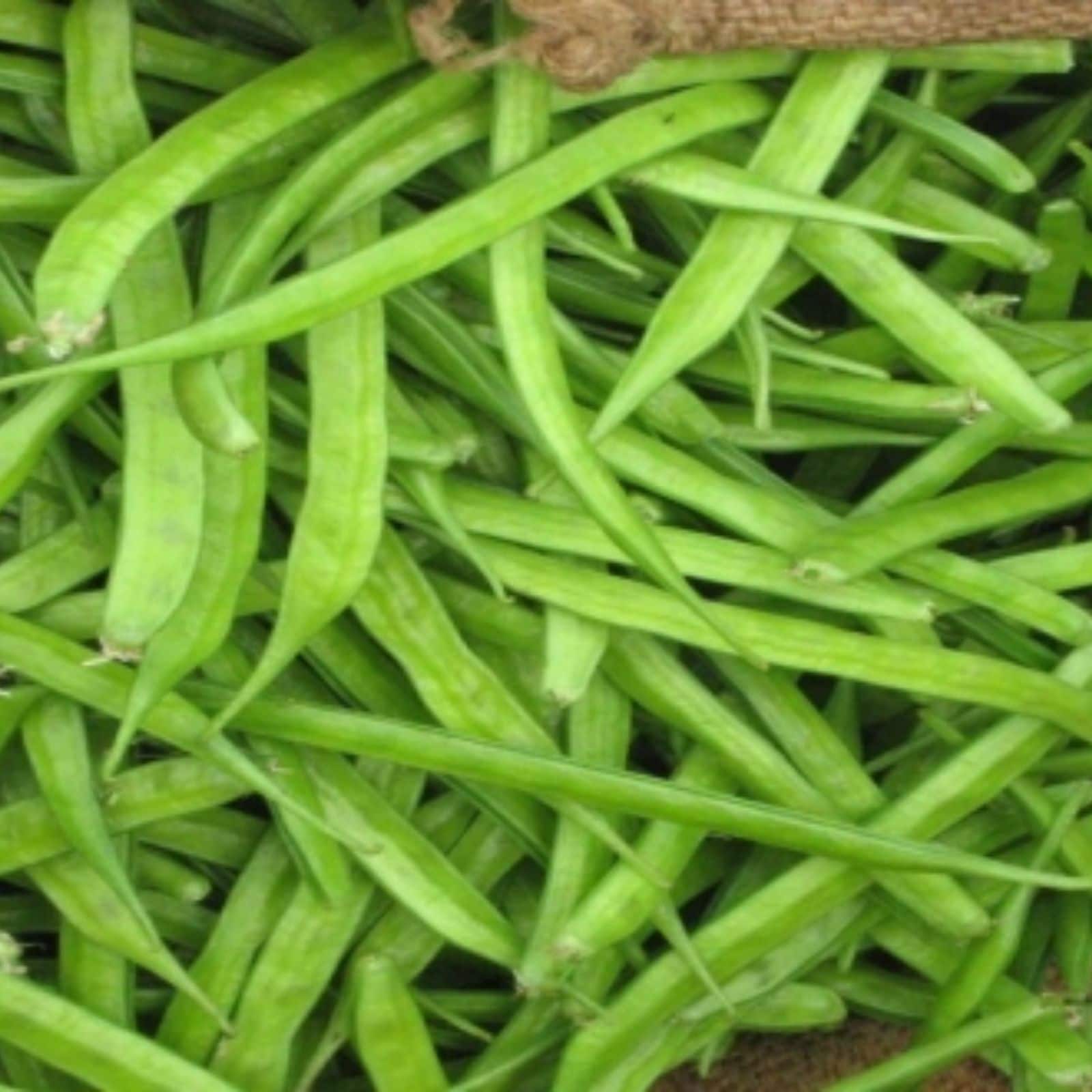 கொத்தவரங்காய் பொரியல் செய்ய ரெசிபி இதோ.... | லைஃப்ஸ்டைல் - News18 தமிழ்