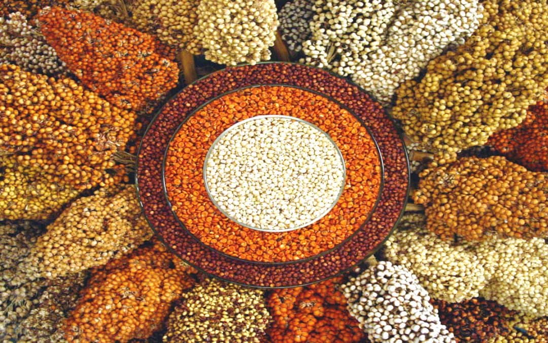 அன்றாட உணவில் இந்த 6 சிறு தானியங்களை சேர்த்துப்பாருங்கள் : உடல் நலப் ...