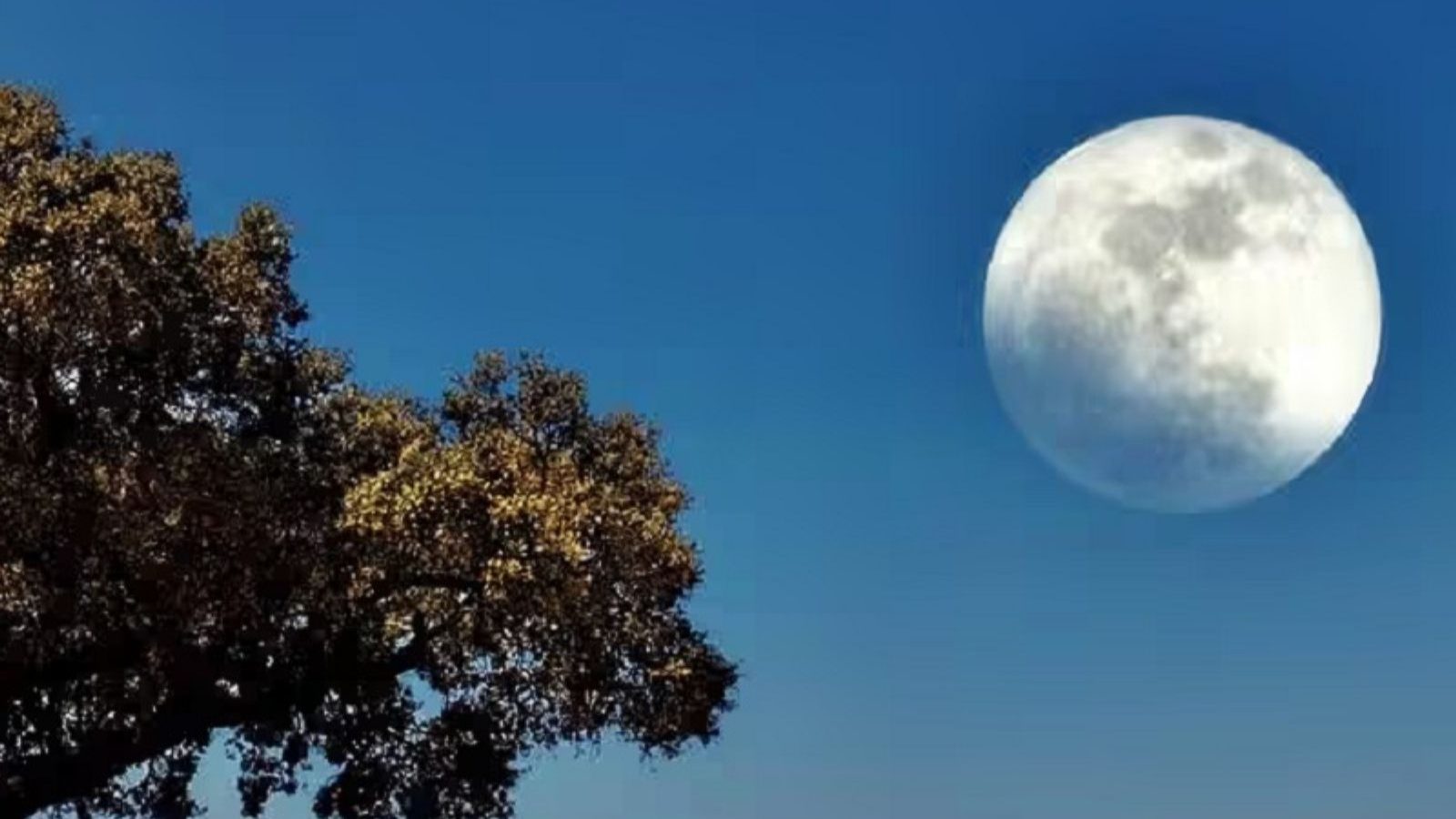 2022-ல் எத்தனை பெளர்ணமி வருகிறது தெரியுமா? - News18 தமிழ்