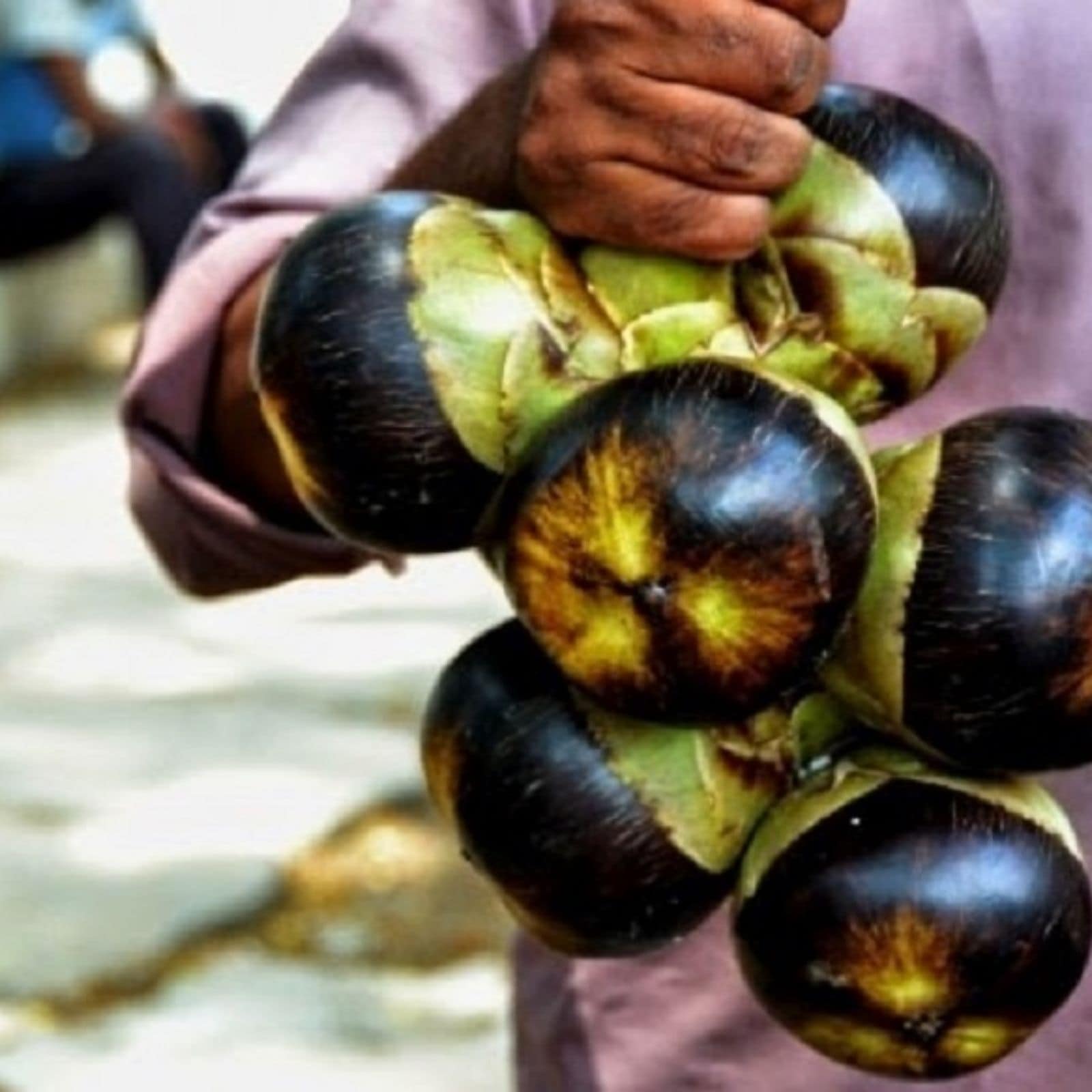 நுங்கு சாப்பிடுவதால் நன்மைகள் என்னென்ன தெரியுமா? | லைஃப்ஸ்டைல் - News18 ...