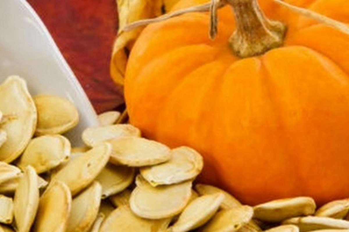 Pumpkin Seeds Benefits Of pumpkin-seeds-benefits-of