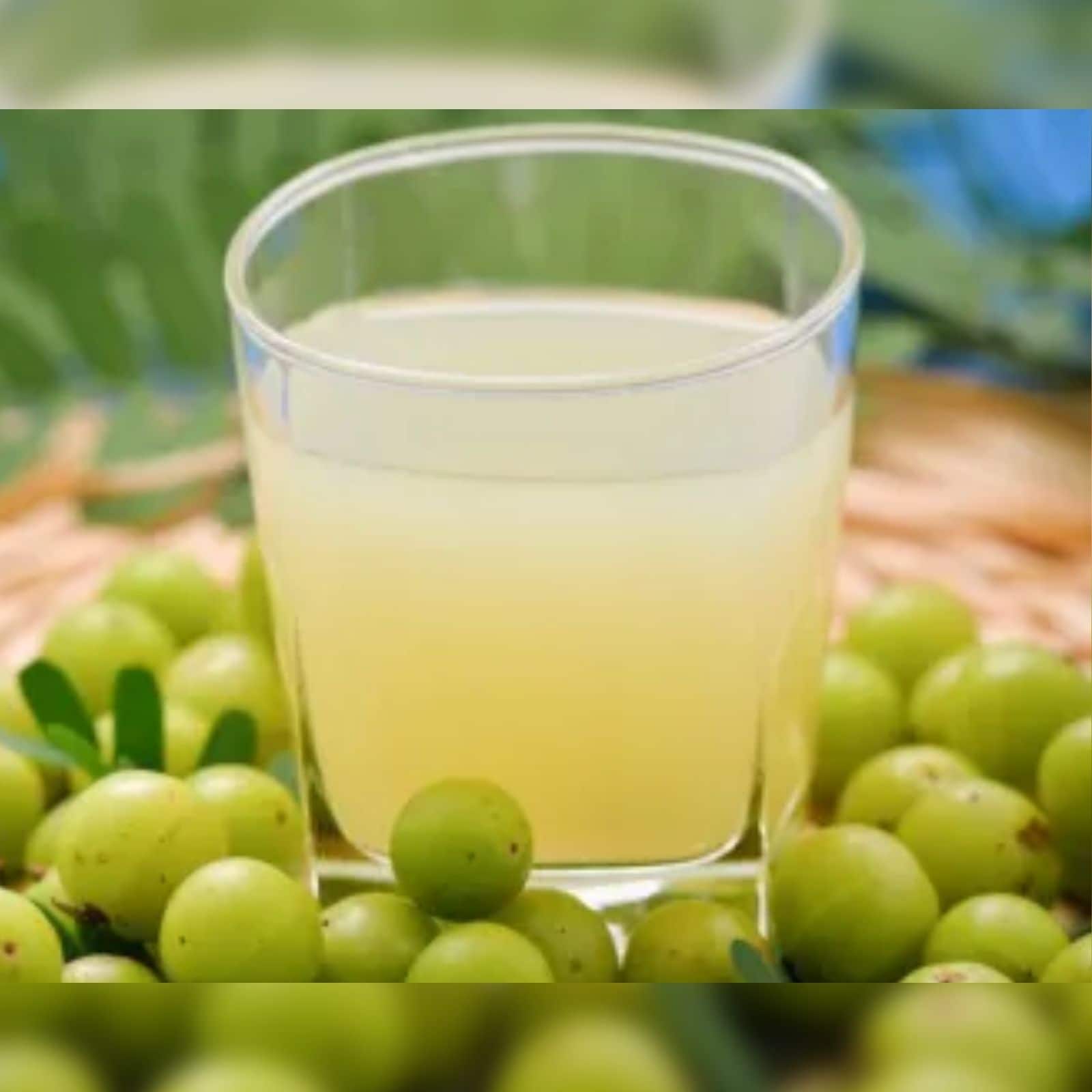 Gooseberry: ఖాళీకడుపుతో ఉసిరిరసం తాగితే ఇన్ని లాభాలా? మతిపోయే రహస్యాలు ...