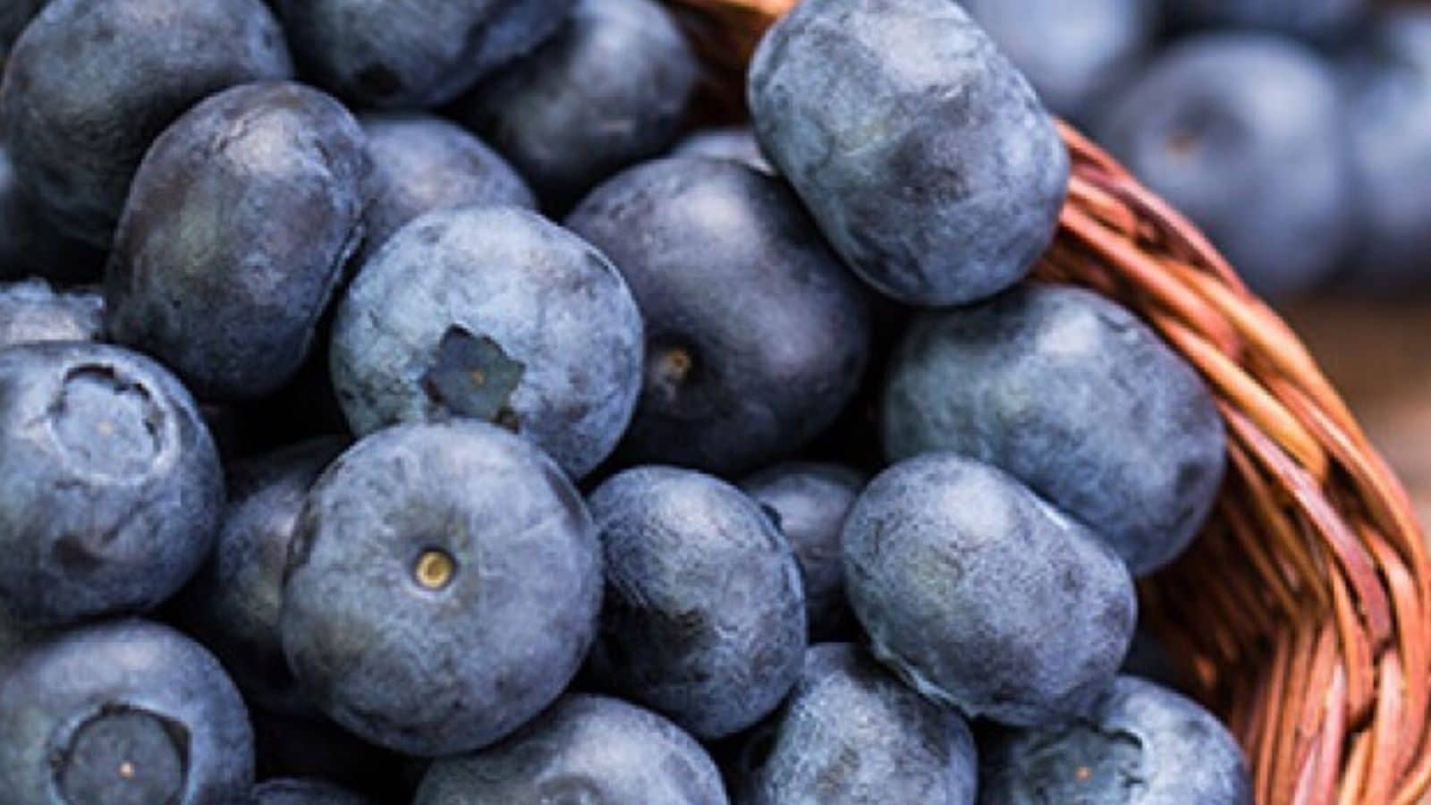 ப்ளூபெர்ரி பழங்களை சாப்பிட்டால் இவ்வளவு நன்மைகளா..?