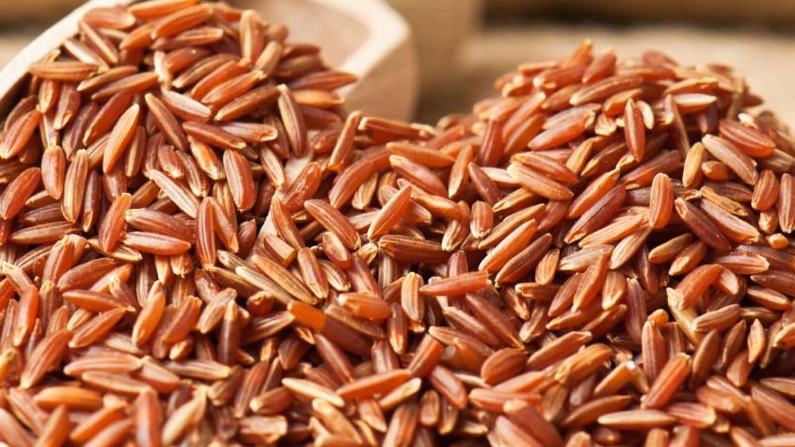 சிவப்பு அரிசியை தினசரி உணவாக சாப்பிட்டால் இத்தனை நன்மைகளா..? ரெசிபியும் ...