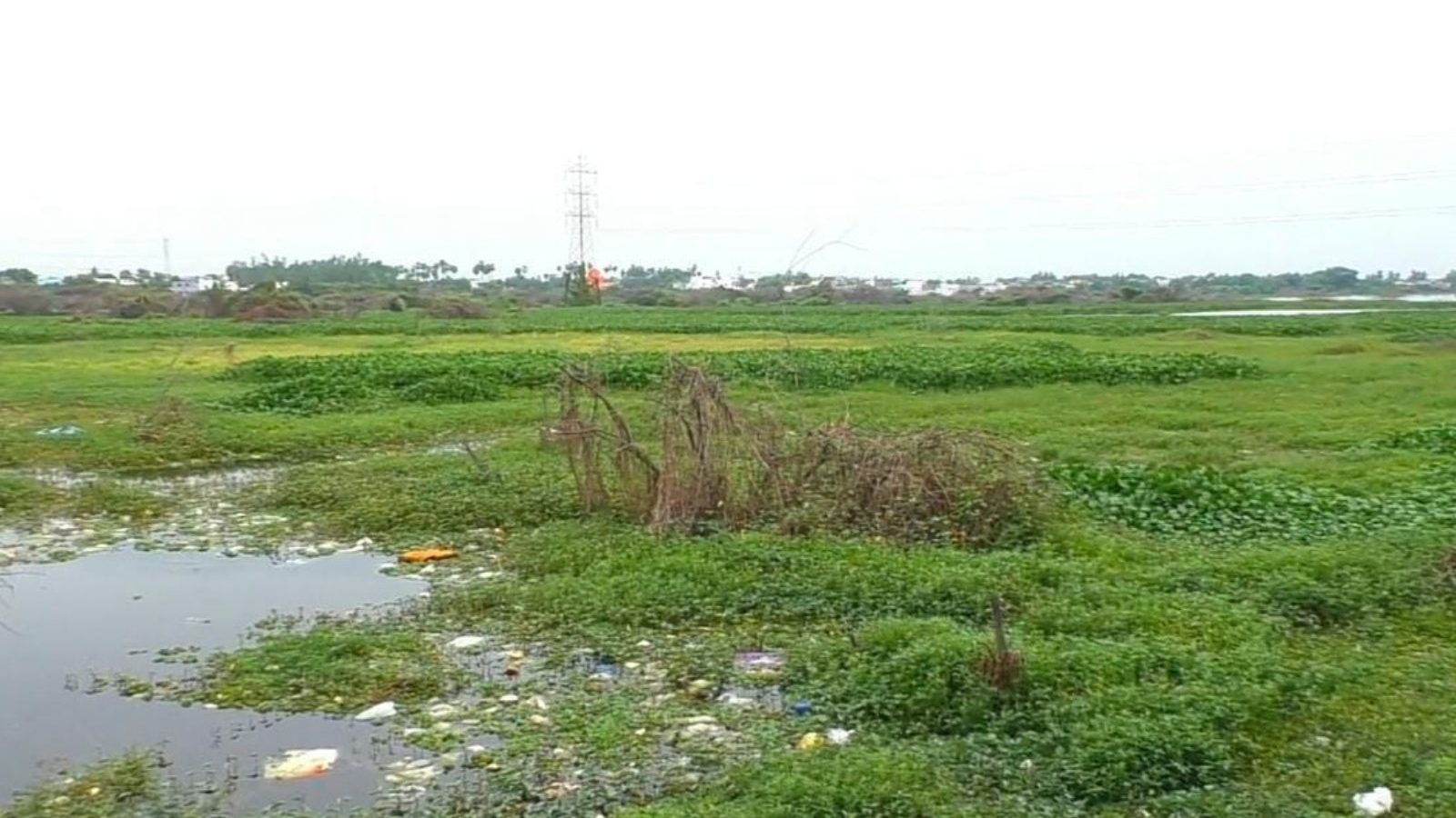 Puzhal Lake is turning into a garbage dump due to private encroachment ...