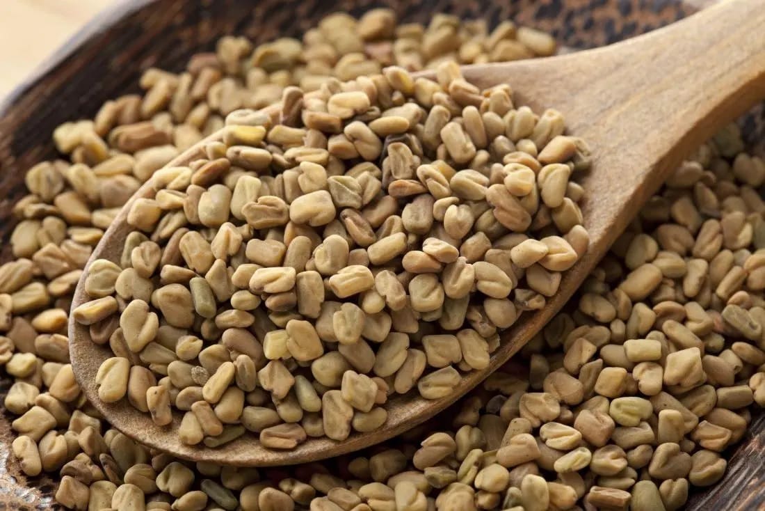 Understand Fenugreek (Venuthayam) seeds Benefits (in Tamil) – News18 தமிழ்