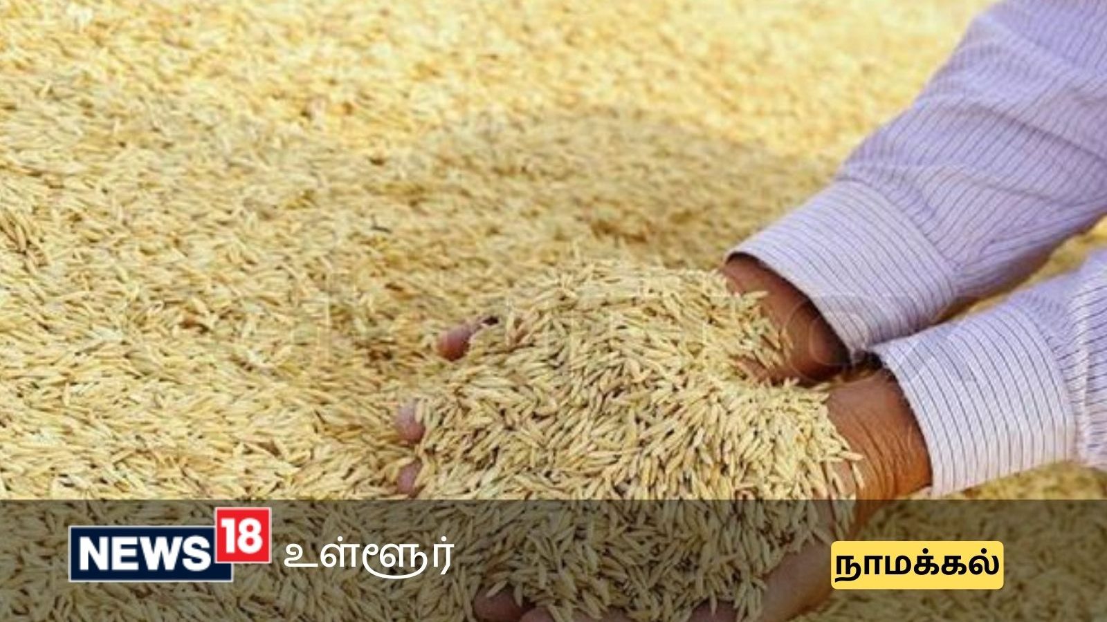 விவசாயிகளுக்கு மானிய விலையில் வழங்குவதற்காக நெல் விதைகள் கையிருப்பு