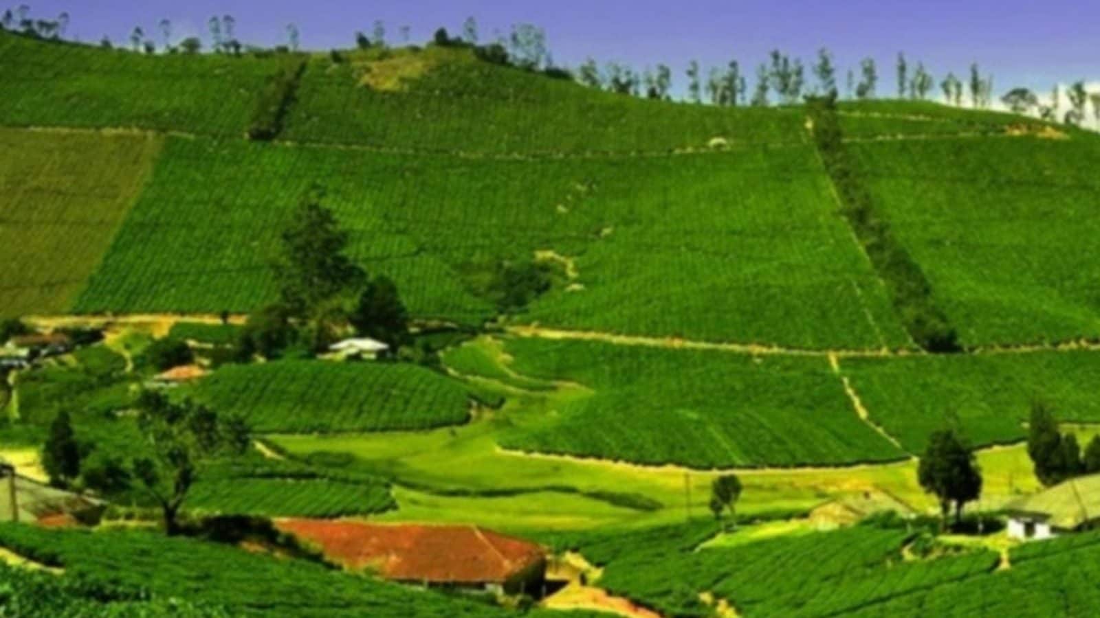 மனதை கொள்ளை கொள்ளும் பேரழகு - தேனியில் மிஸ் பண்ண கூடாத மேகமலை சுற்றுலா