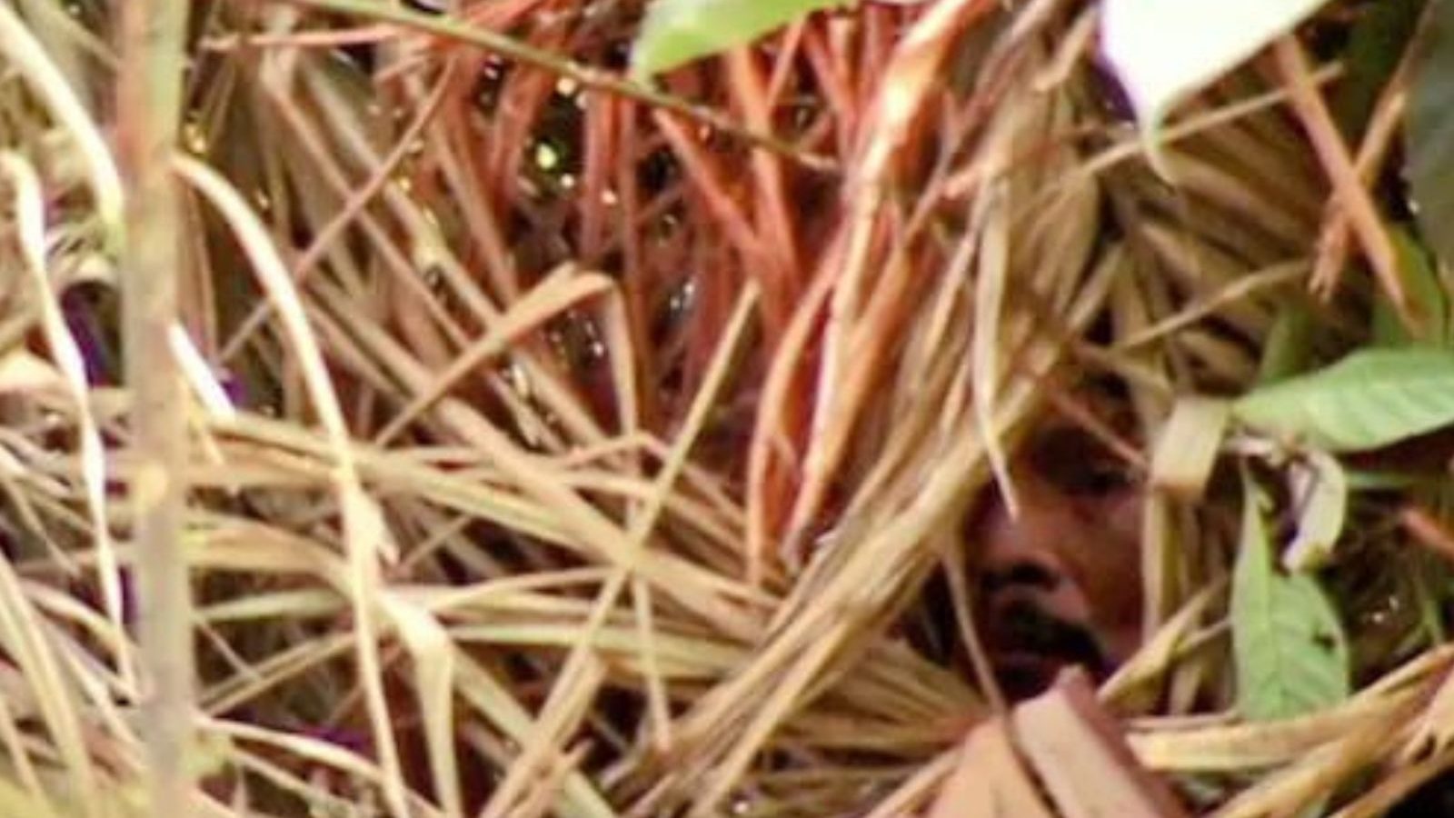 அமேசான் காட்டில் வாழ்ந்த கடைசி பழங்குடி மனிதன் - 20 வருடம் தனியாக ...