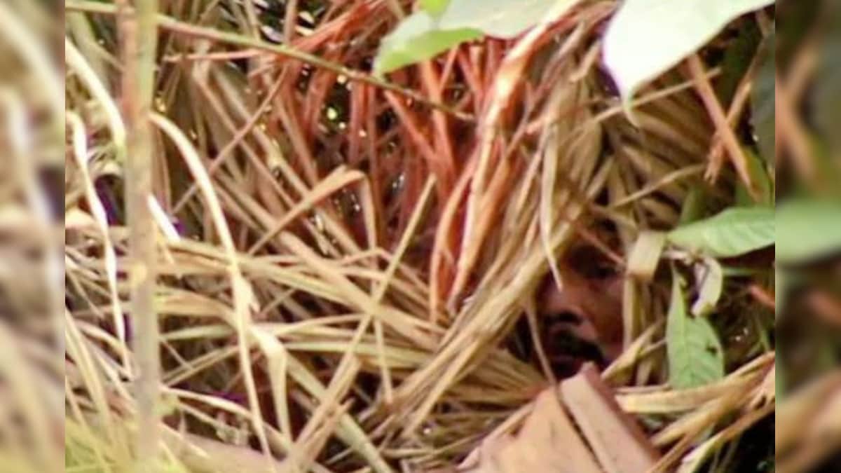 அமேசான் காட்டில் வாழ்ந்த கடைசி பழங்குடி மனிதன் - மரணம்! – News18 தமிழ்