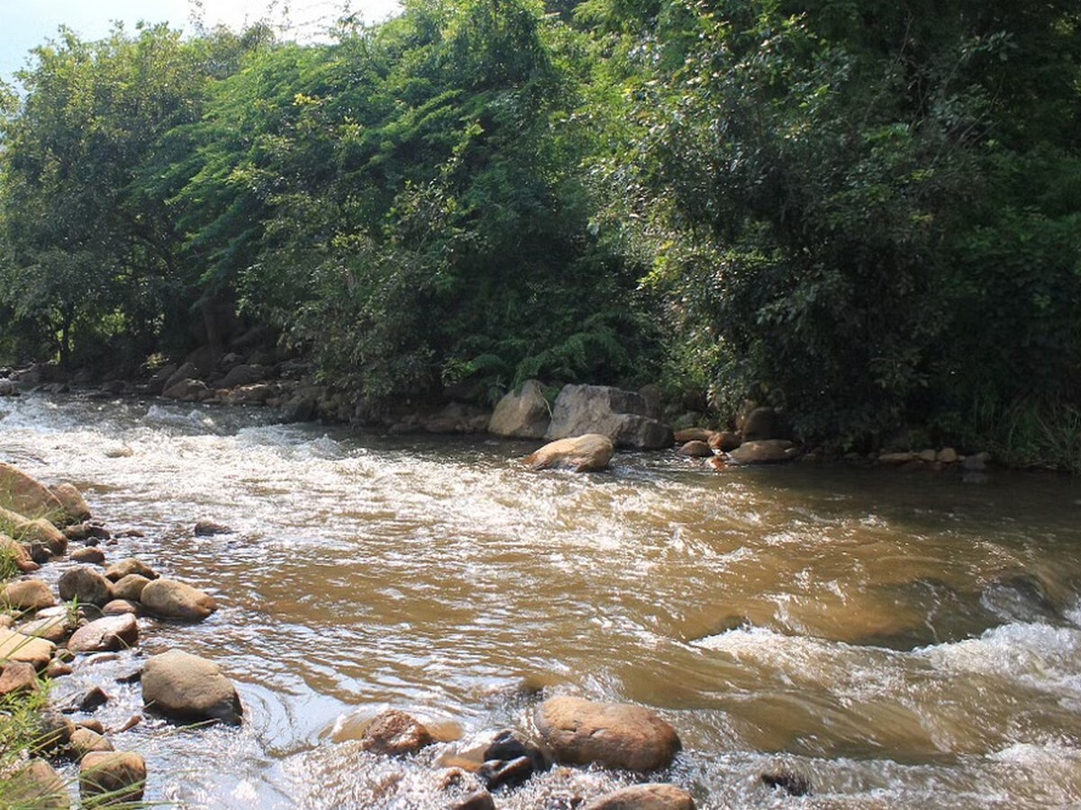 புளியஞ்சோலைக்கு சுற்றுலா செல்ல திட்டமா? - பயணத்தை தள்ளி வச்சிருங்க ...