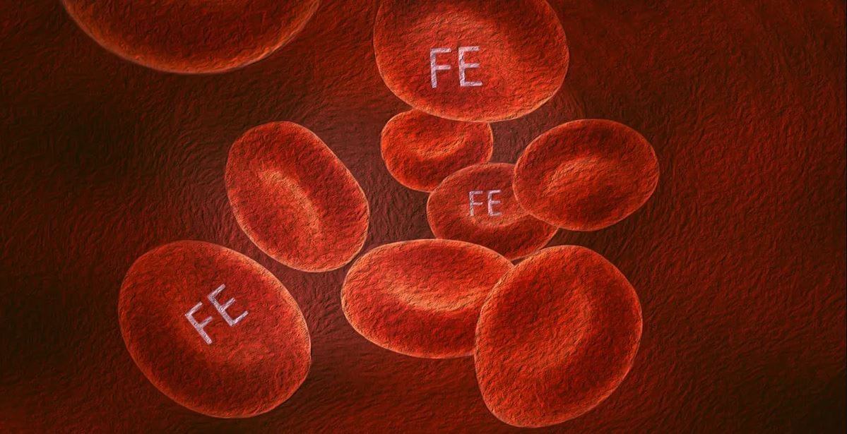 இந்த வகை இரத்த பிரிவு உள்ளவர்கள் இந்த உணவை தான் சாப்பிட வேண்டுமாம் ...