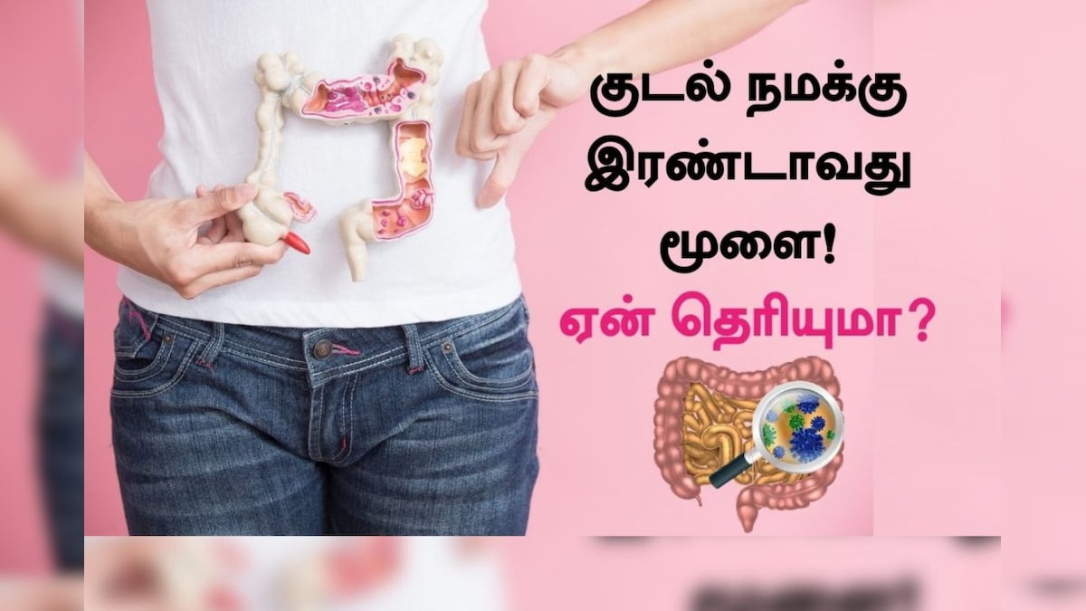 குடல் இரண்டாவது மூளை என அழைக்கப்படுவது ஏன்? விளக்கும் நிபுணர்! – News18 ...