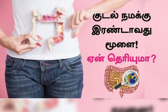 குடல் இரண்டாவது மூளை என அழைக்கப்படுவது ஏன்? விளக்கும் நிபுணர்! – News18 ...
