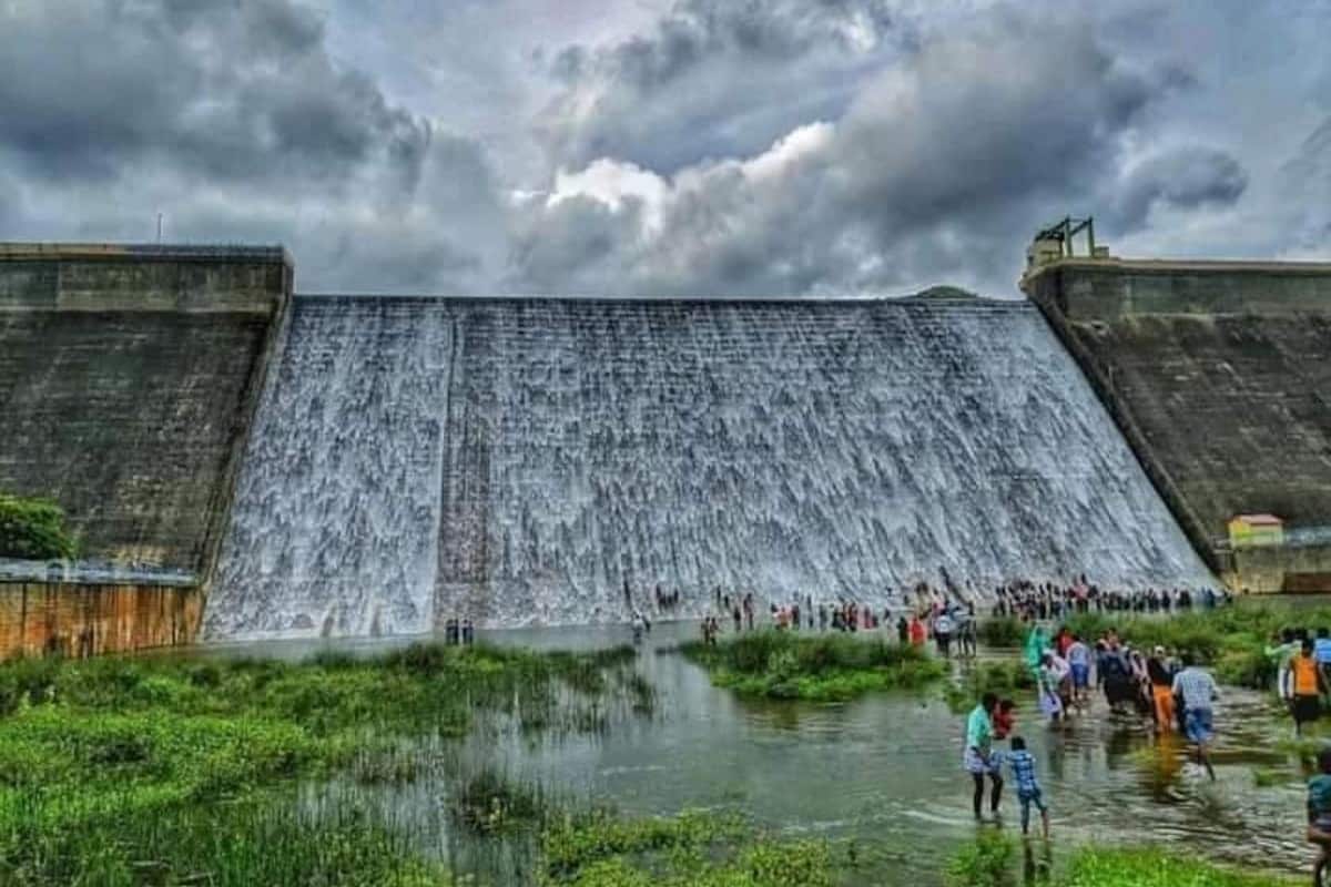 நீங்காத நினைவைக் கொடுக்கும் தென்காசி மாவட்ட அணைகளுக்கு ஒரு டிரிப் ...