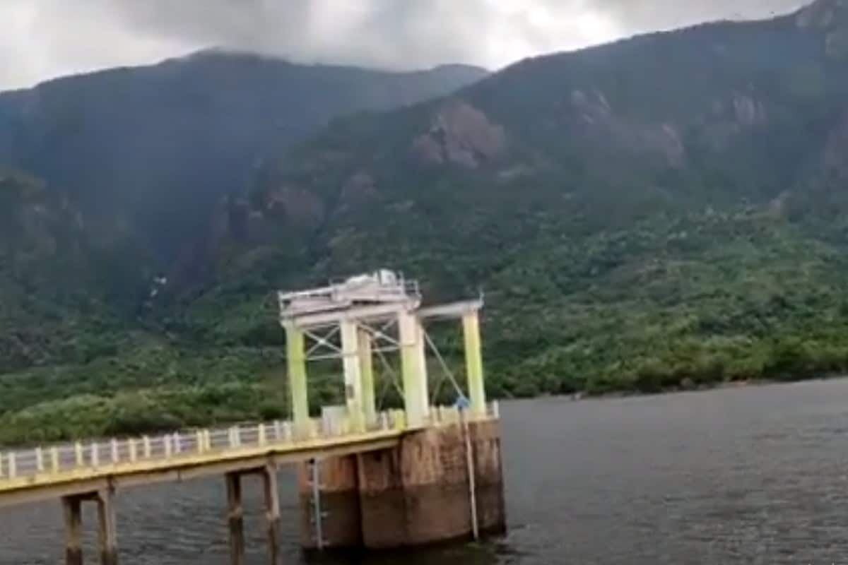 நீங்காத நினைவைக் கொடுக்கும் தென்காசி மாவட்ட அணைகளுக்கு ஒரு டிரிப் ...