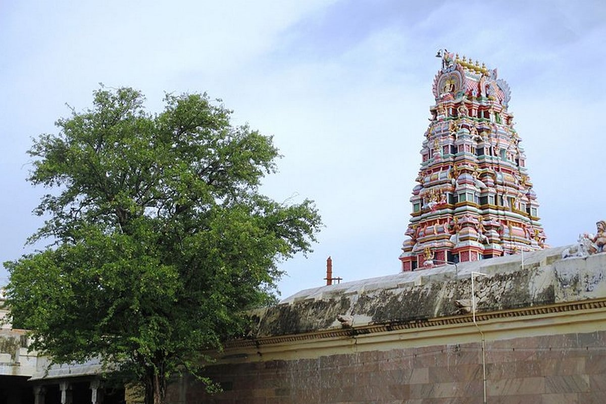 திருச்சுழி திருமேனிநாதர் திருக்கோவிலுக்கு இப்படி ஒரு சிறப்பா ...