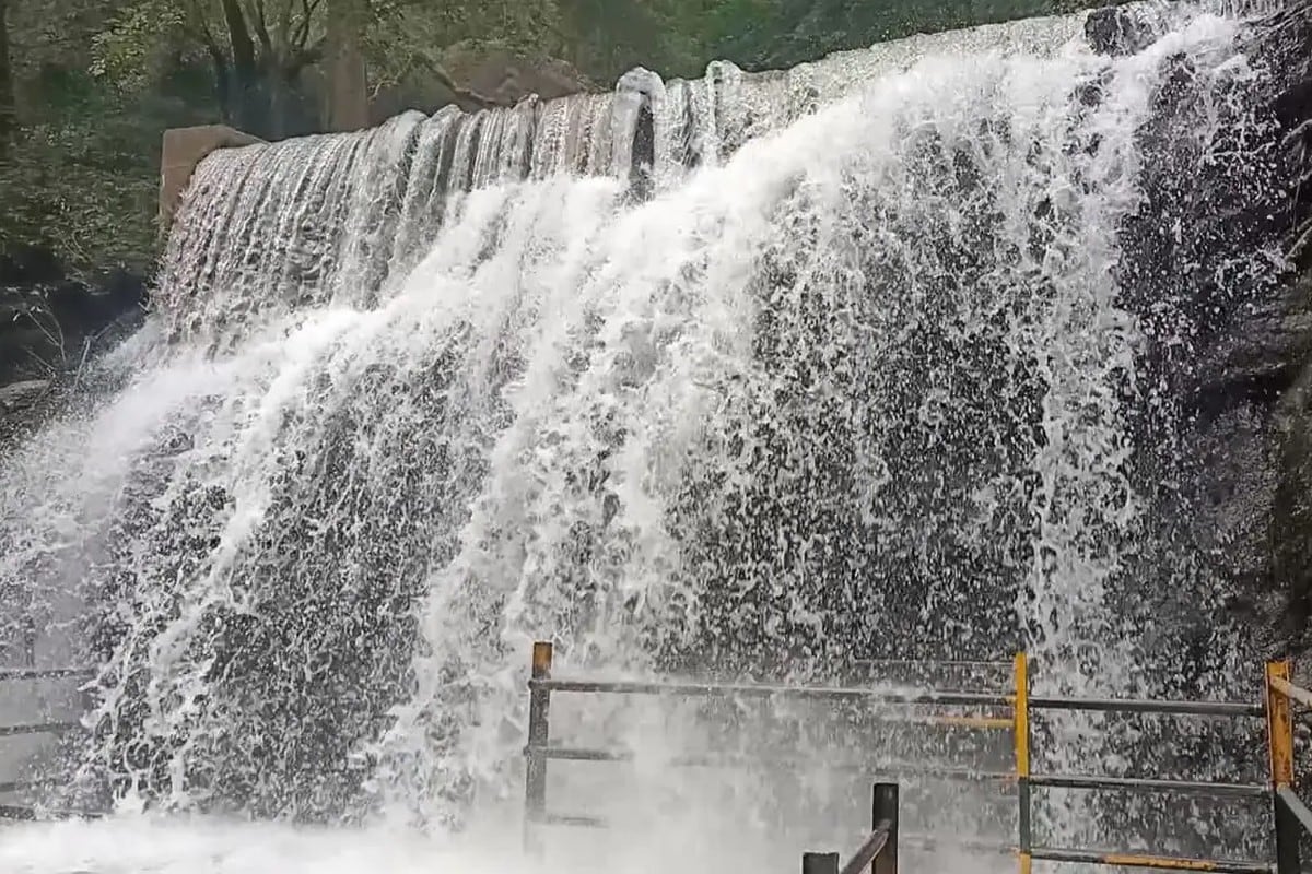 கண்களுக்கு விருந்து படைக்கும் பசுமையான கம்பம் பள்ளத்தாக்கு... – News18 ...