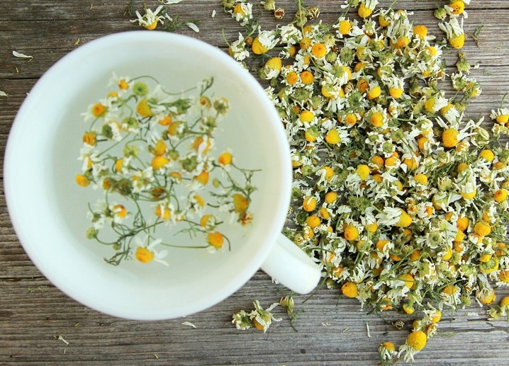 கெமோமில் டீ இவ்வளவு ஆரோக்கியமானதா.? முக்கிய நன்மைகளில் சில இங்கே ...