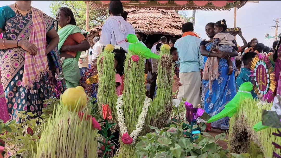 150 ஆண்டு பழமையான எட்டுப்பட்டி செல்லாண்டியம்மன் கோவில் திருவிழா ...