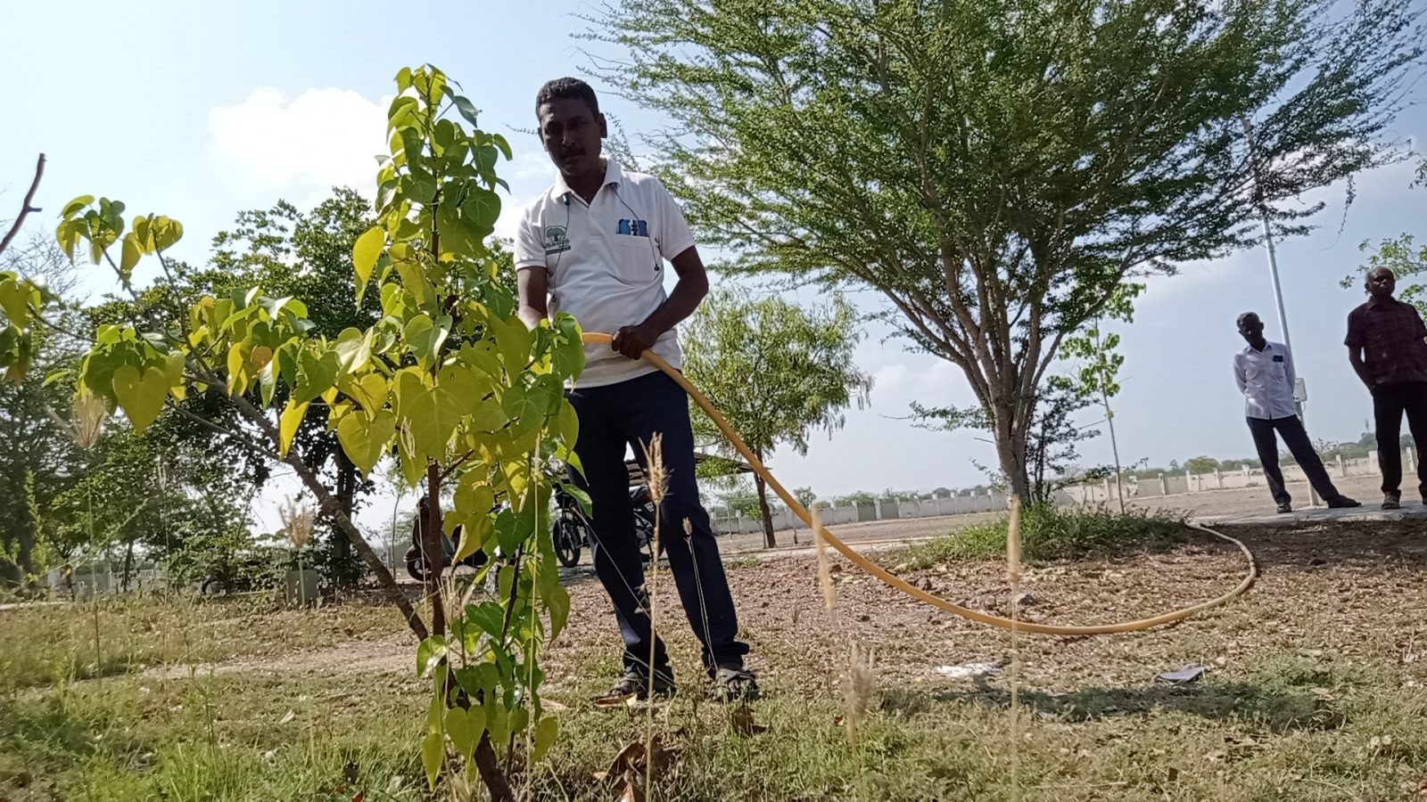 Aalamaram - A green initiative to convert virudhunagar district to ...