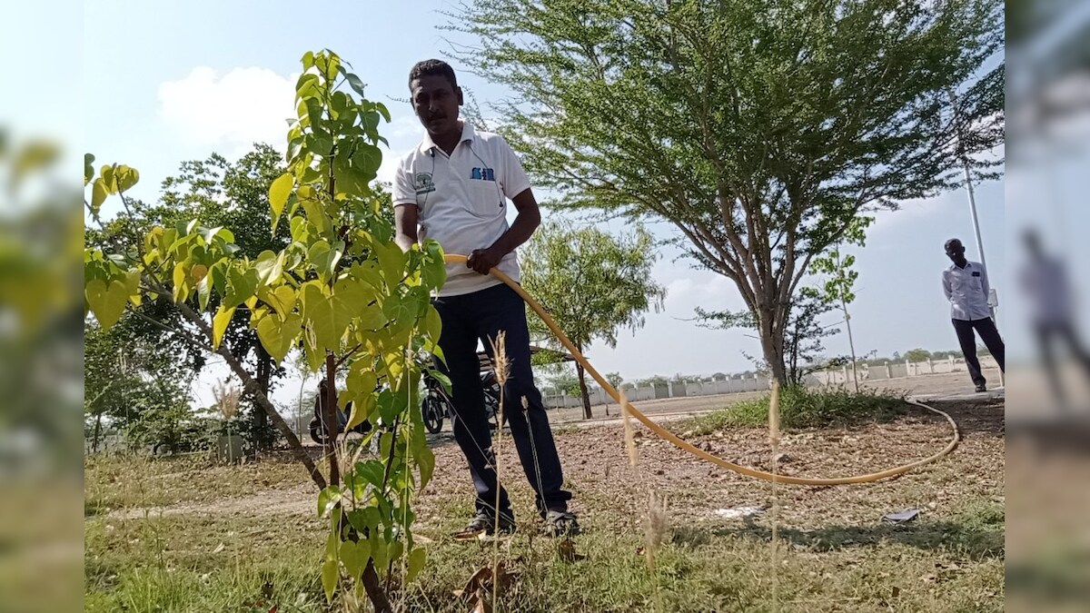 Aalamaram - A green initiative to convert virudhunagar district to ...