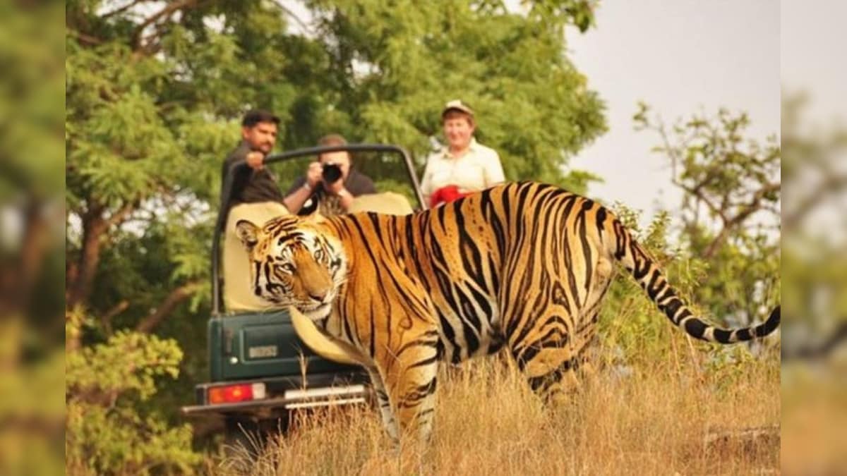 Summer Vacation Places You Need To Visit For Best Wildlife Experience ...