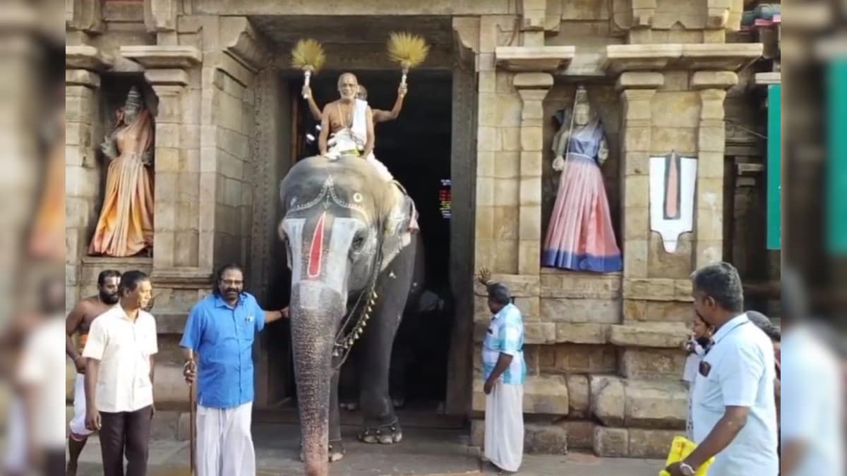 Srirangam Namperumal Temple : Chitrai Derotam: Srirangam Namperumal ...