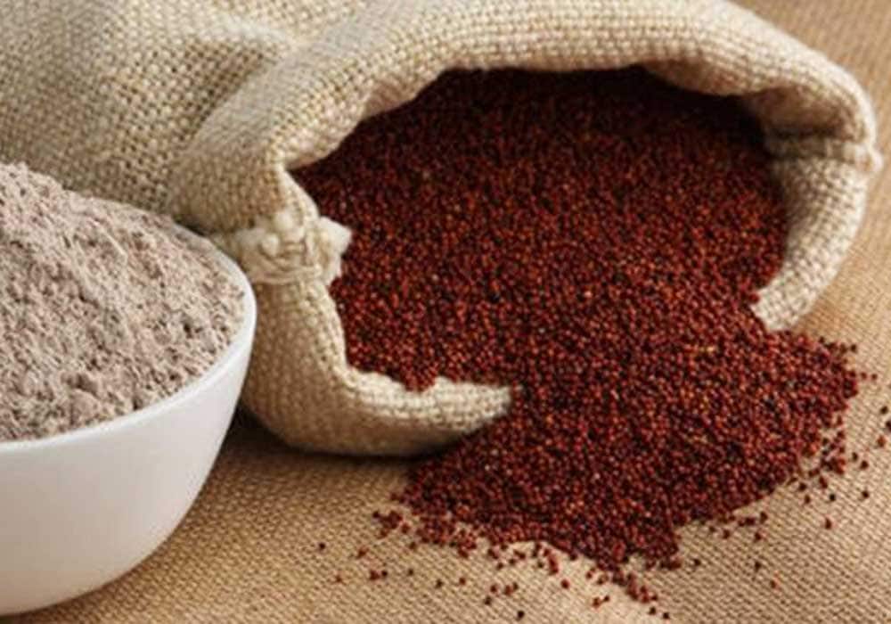 ராகி தோசை முதல் ராகி மில்க் ஷேக் வரை... சத்தான ராகியை உங்களின் கோடை ...