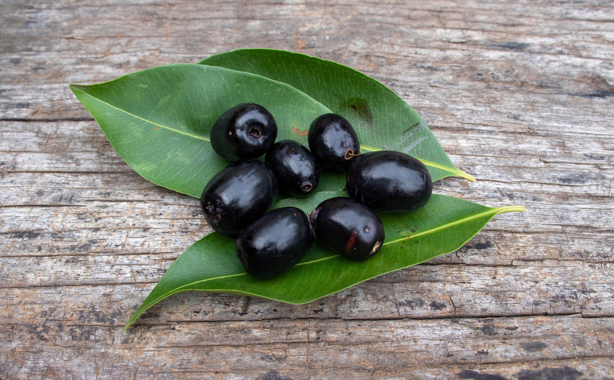 கோடைக்காலத்தில் நாவல் பழம் சாப்பிட்டால் ரொம்ப நல்லது... ஏன் தெரியுமா ...