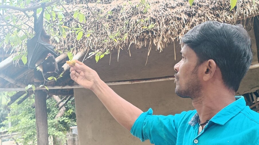 வெள்ளந்தி மனிதர்கள்.. குடும்ப உறுப்பினராக மாறிய வெளவால்.. ஓடிசா ...