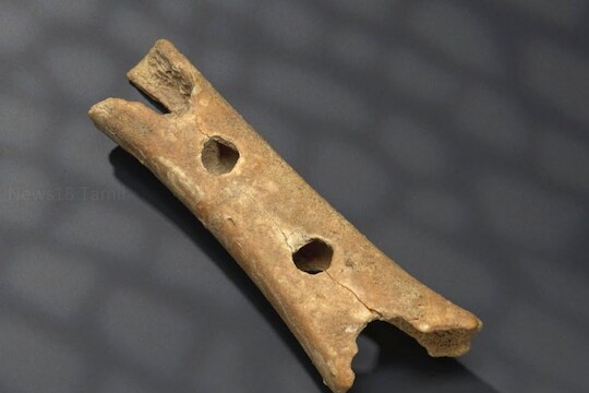 இதுதான் உலகின் மிகப் பழமையான இசைக்கருவியாம்..! – News18 தமிழ்