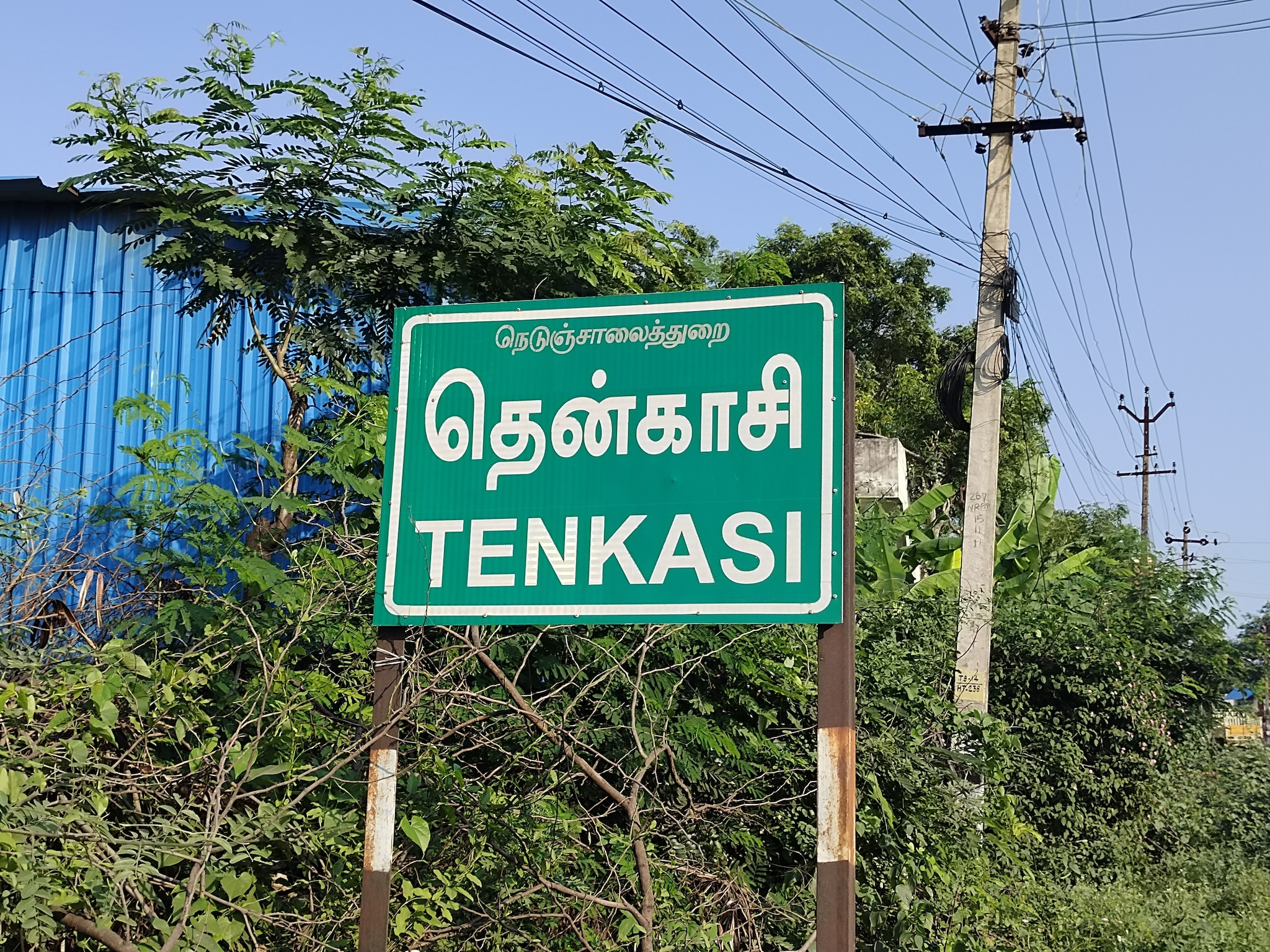 தென்காசி மாவட்ட விவசாயிகளுக்கு குட்நியூஸ் சொன்ன ஆட்சியர்! | வணிகம் ...