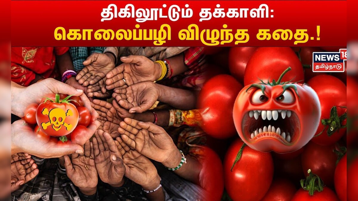 திகிலூட்டும் தக்காளி: கொலைப்பழி விழுந்த கதை | Tomato | Is Poisons ...