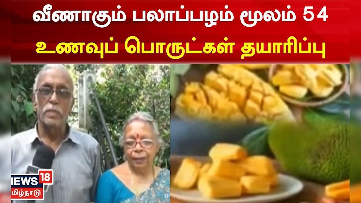 Palapalam | வீணாகும் பலாப்பழம் மூலம் 54 உணவுப் பொருட்கள் தயாரிப்பு ...