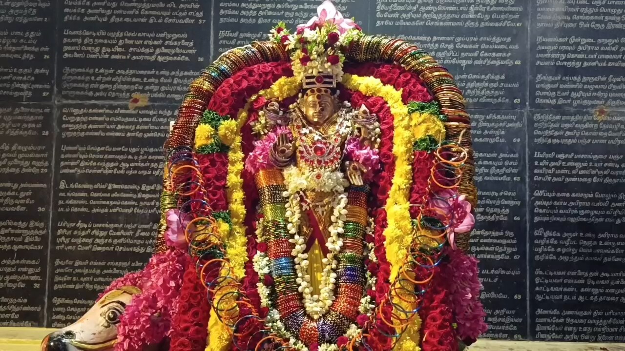 அம்மனுக்கு வளைகாப்பு நிகழ்ச்சி.. பக்தர்கள் பரவசம்! – News18 தமிழ்