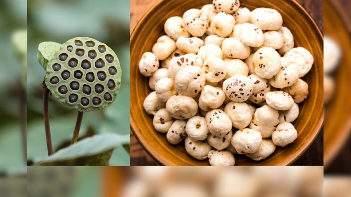 Makhana Benefits : தாமரை விதைகளில் கிடைக்கும் சத்துக்கள்..! – News18 தமிழ்
