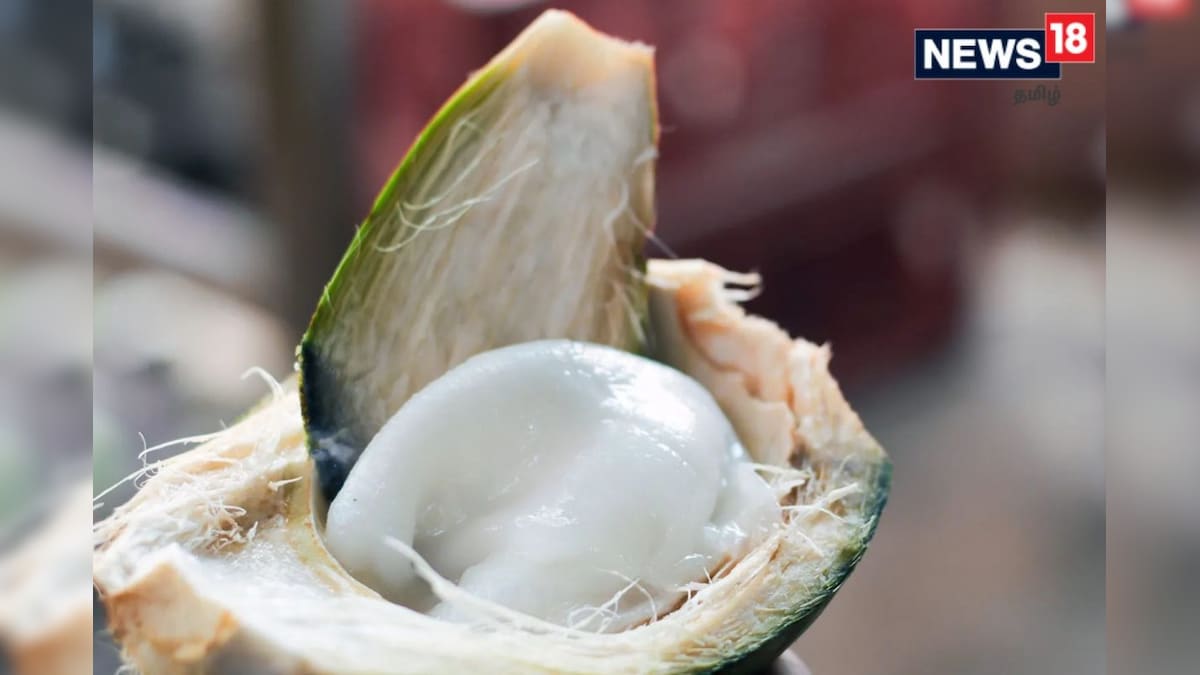 இளநீர் குடித்துவிட்டு வீசும் வழுக்கைக்குள் இவ்வளவு நன்மை இருப்பது ...