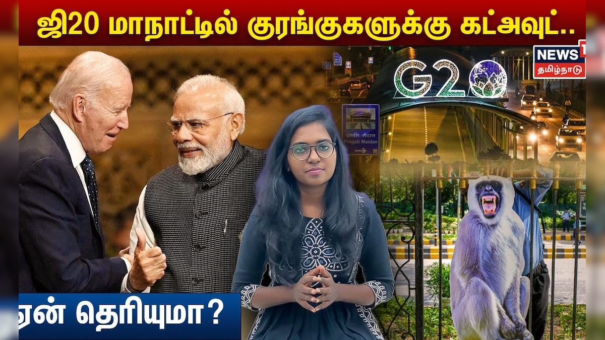 ஜி20 மாநாட்டில் குரங்குகளுக்கு கட்அவுட்..ஏன் தெரியுமா? | G20 Meeting ...