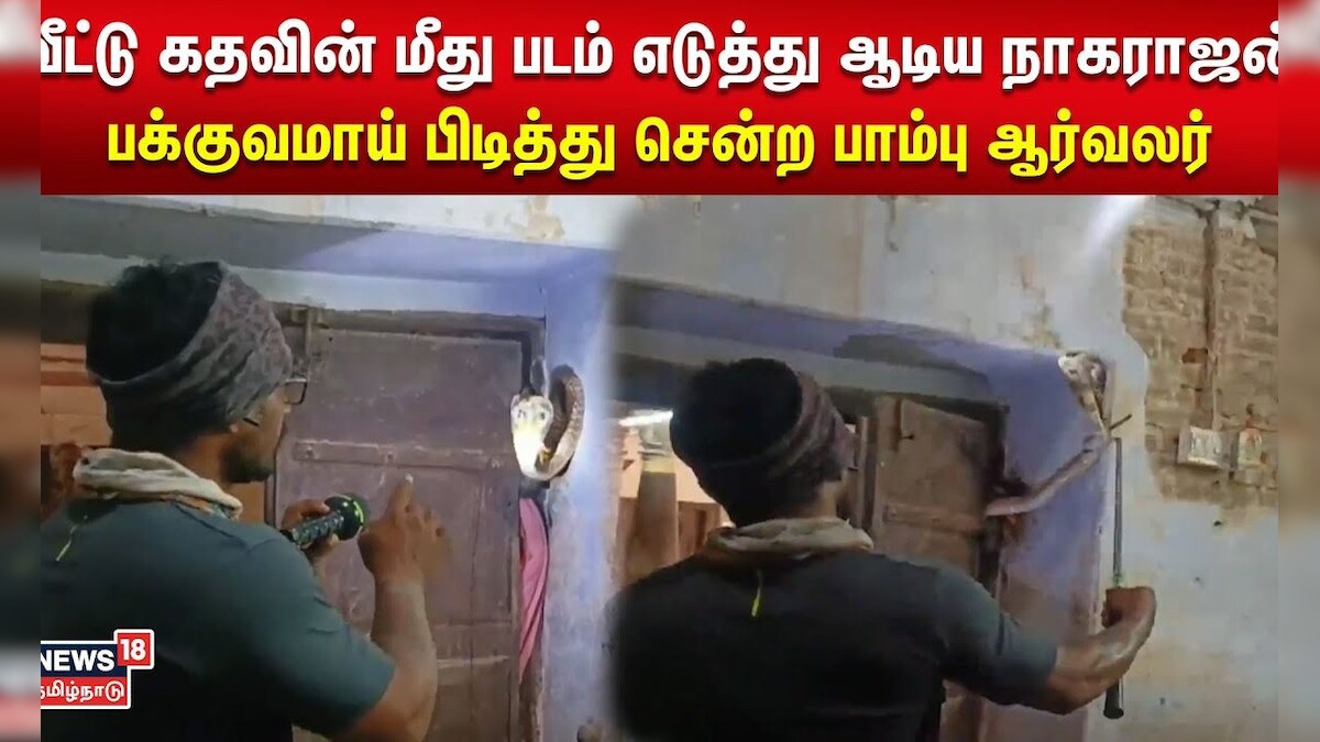 வீட்டு கதவின் மீது படம் எடுத்து ஆடிய நாகராஜன் - பக்குவமாய் பிடித்து ...