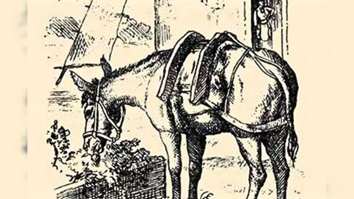Optical Illusion Challenge: Can you find the hidden man in 9 seconds ...